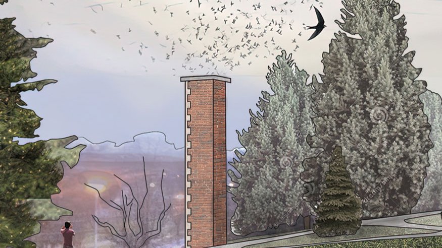 Chimney Swift Tower | Ohio Wesleyan University