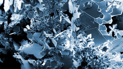 Electron Microscope Images Snow