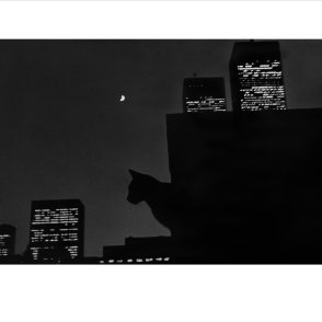 Current Exhibitions | Ohio Wesleyan University